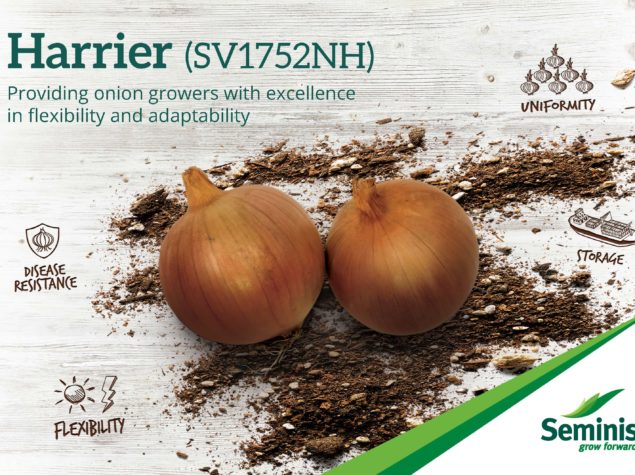 Harrier Resource Library