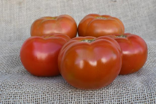 O novo lançamento da Seminis Bayer promove alta resistência, qualidade ...