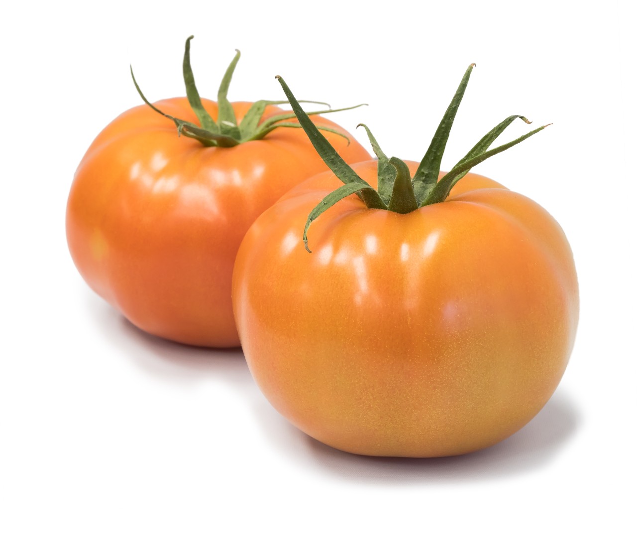 First Look - Touche Tomato