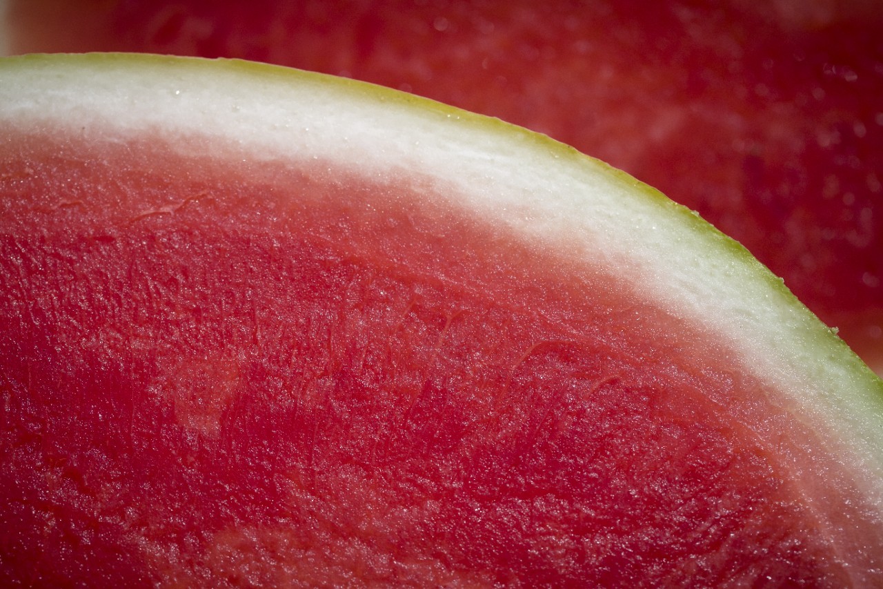 Seminis Introduces New 45-Count Jet Ski Variety to Help Watermelon ...