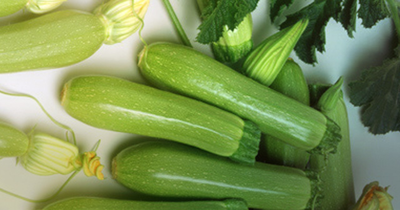 Cucurbitáceas: Zapallos