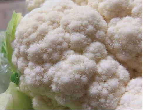 Cauliflower Head Formation