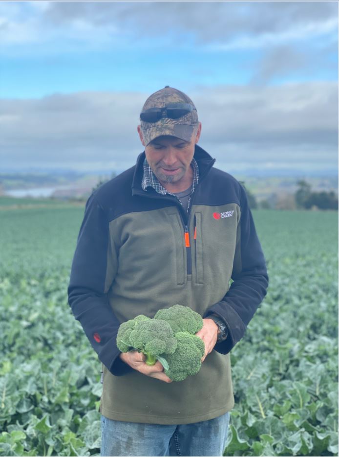 Seminis High-Rise™ variety, Titanium stands tall for Kiwi grower Peter ...