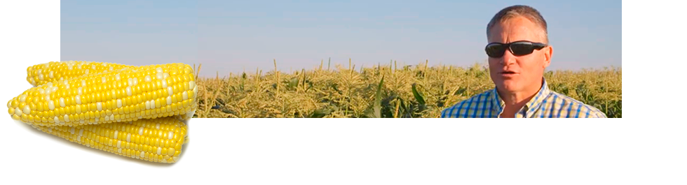 Meet Our Breeding Scientists