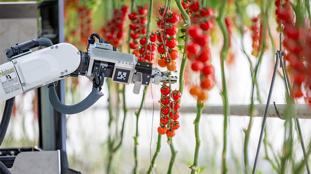 Certhon and De Ruiter host exclusive visit to see Artemy®, the newest ...