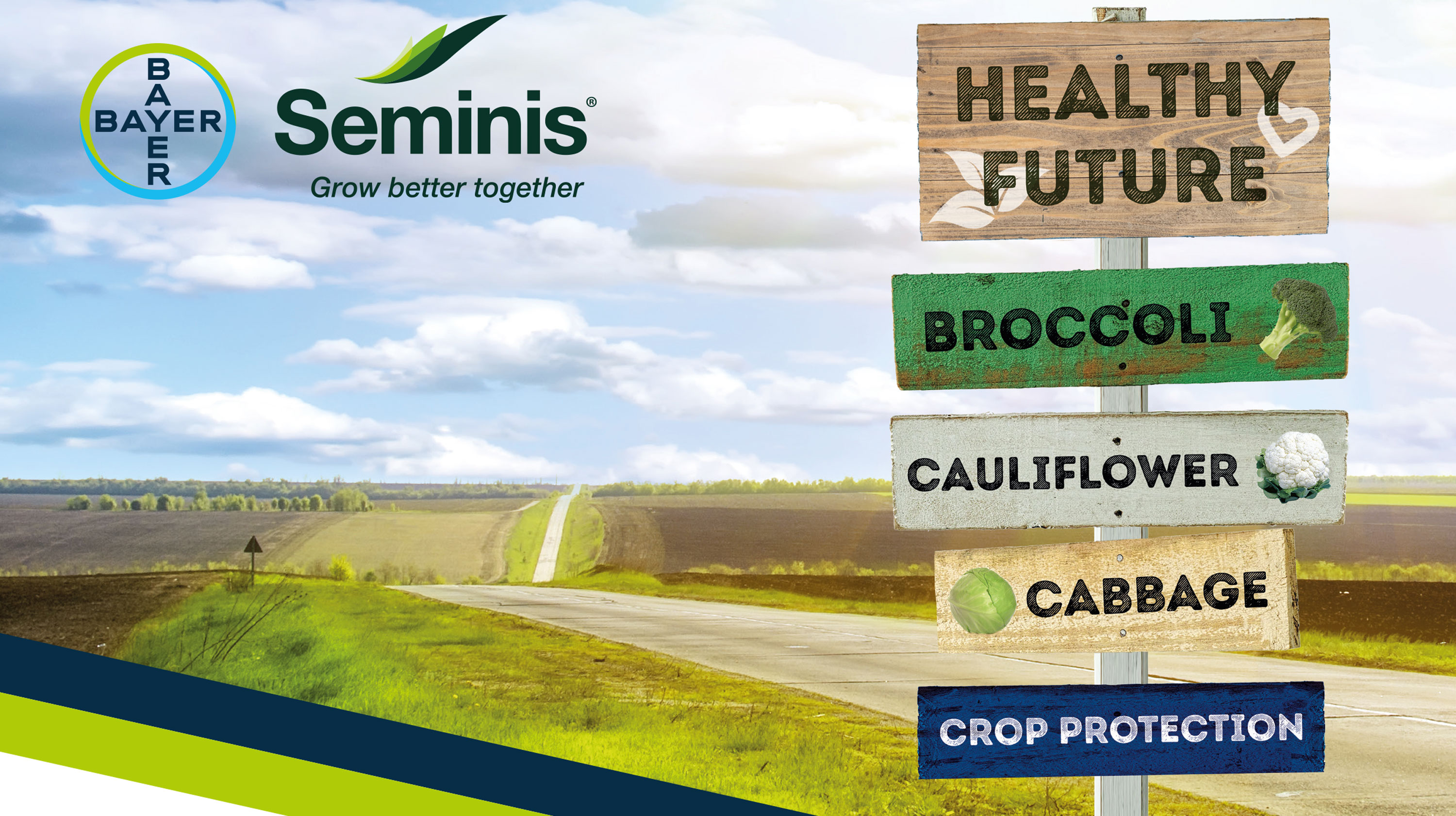 Seminis Brassica Innovation Days