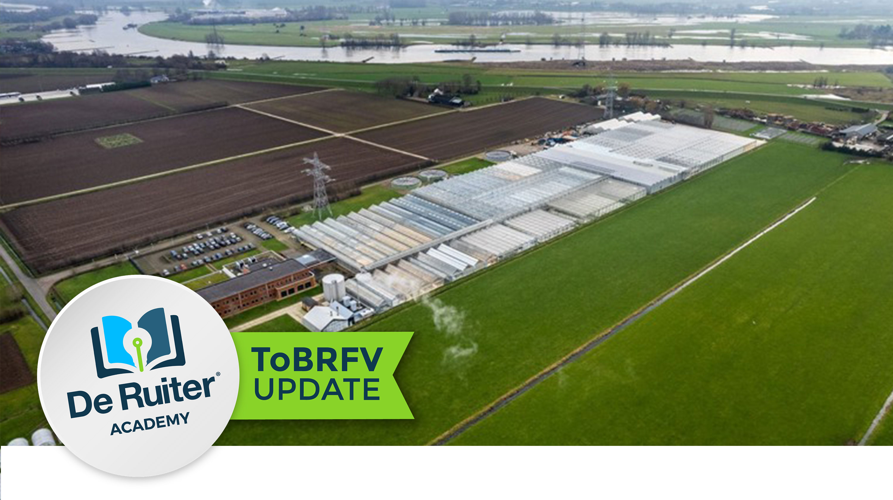 Tomato Brown Rugose Fruit Virus (ToBRFV) and co-infection with Pepino ...