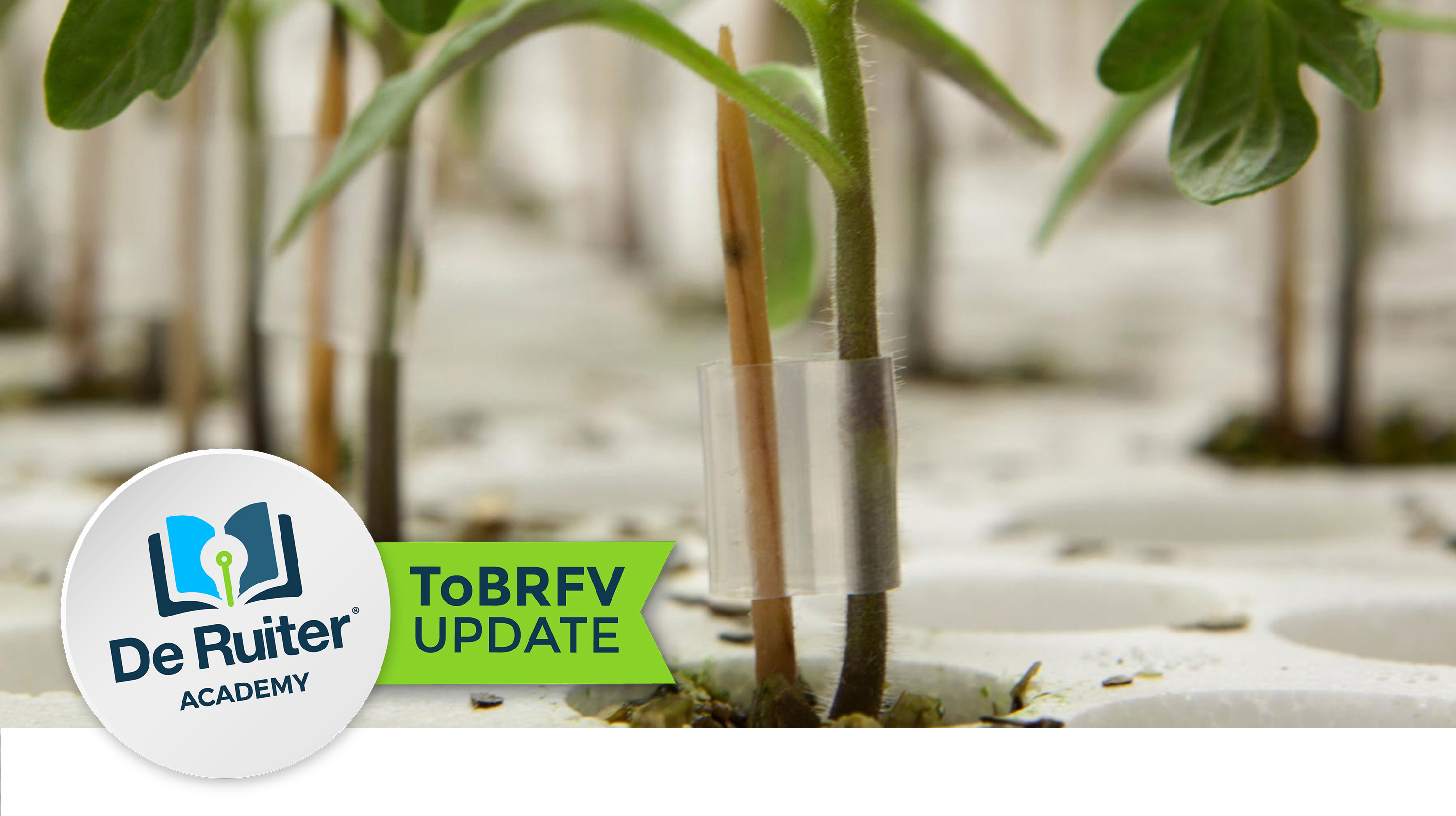 Growing power and endurance in rootstock are important weapons against ...