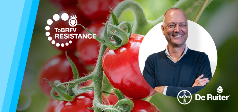 ToBRFV : Partage de connaissance et stratégie de sélection chez Bayer