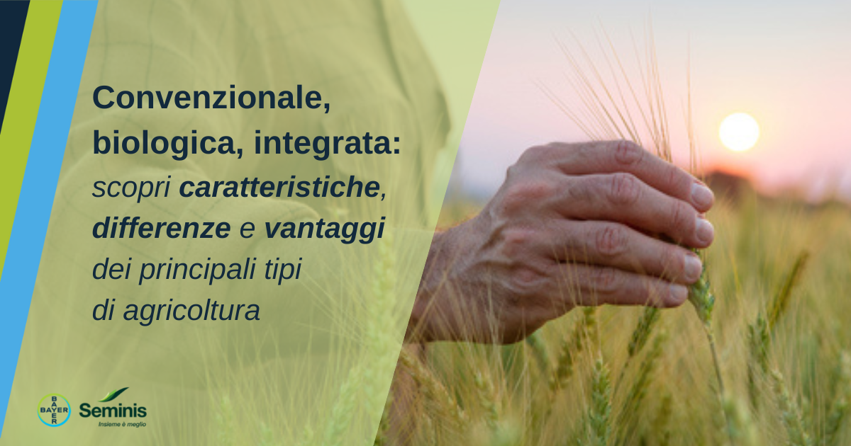 Agricoltura convenzionale, biologica e integrata: caratteristiche e differenze | Vegetables di Bayer