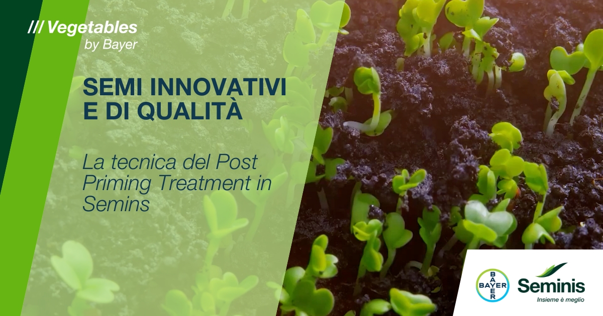 Il Priming secondo Seminis: innovazione e qualità delle sementi ...