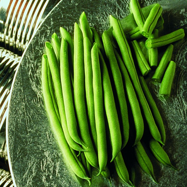 HERCULES Bean SEMINIS