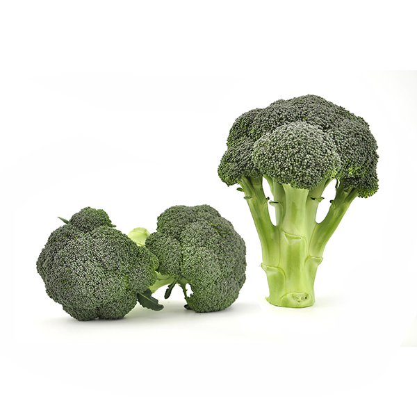 TITANIUM Brócoli SEMINIS