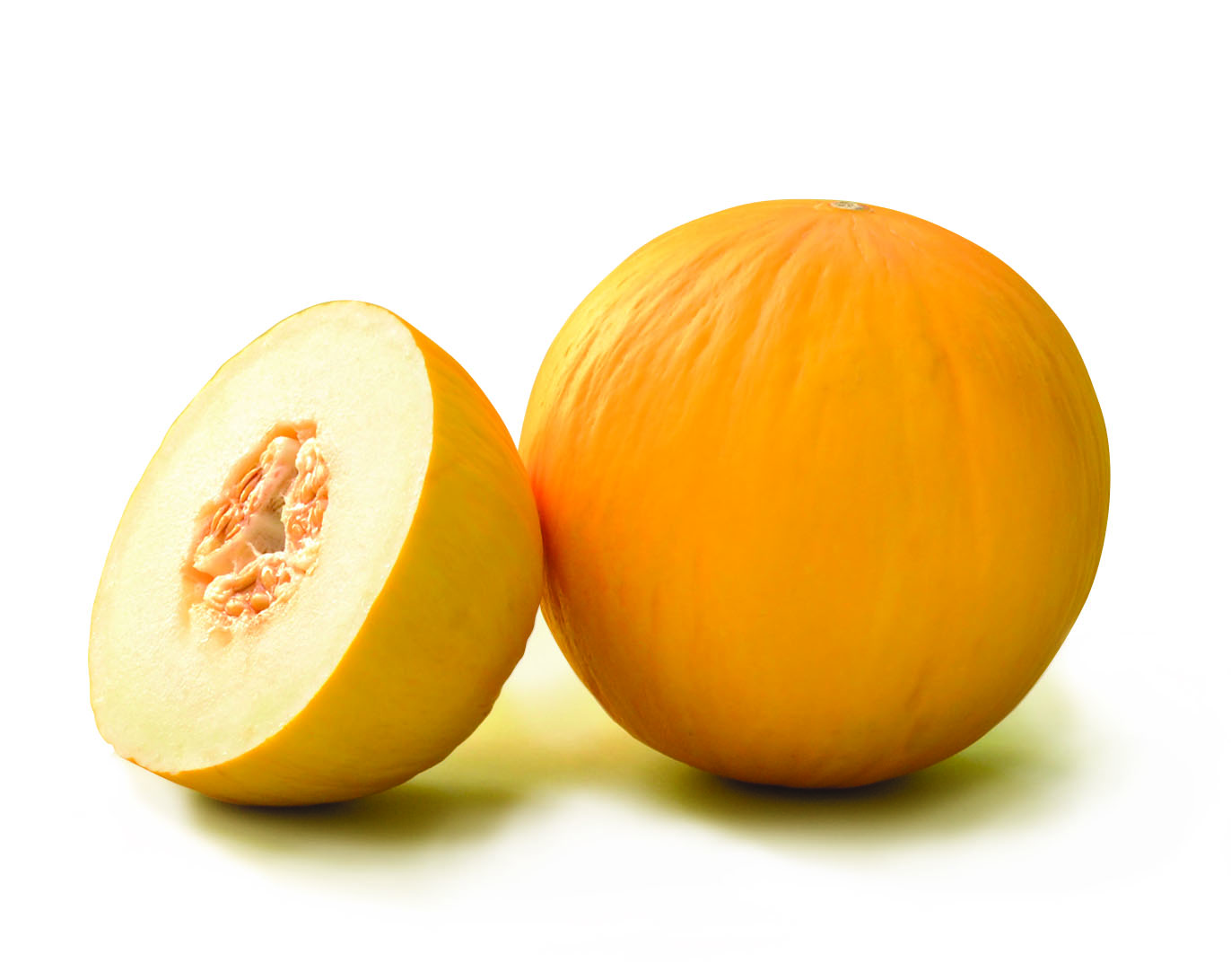 FONZY Melon SEMINIS