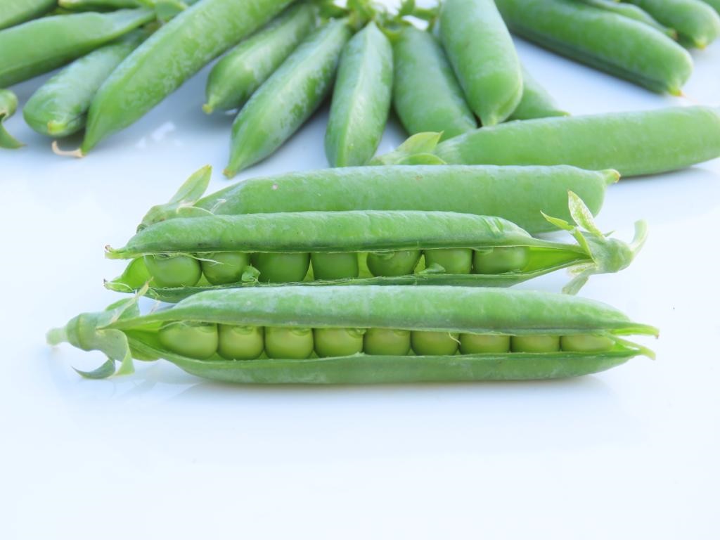 ROMANCE Bezelye Tohumu | SEMINIS