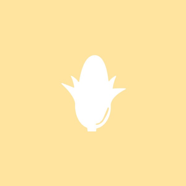 EX 08705788 Sweet Corn SEMINIS