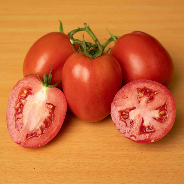 DRD 8551 Tomato SEMINIS