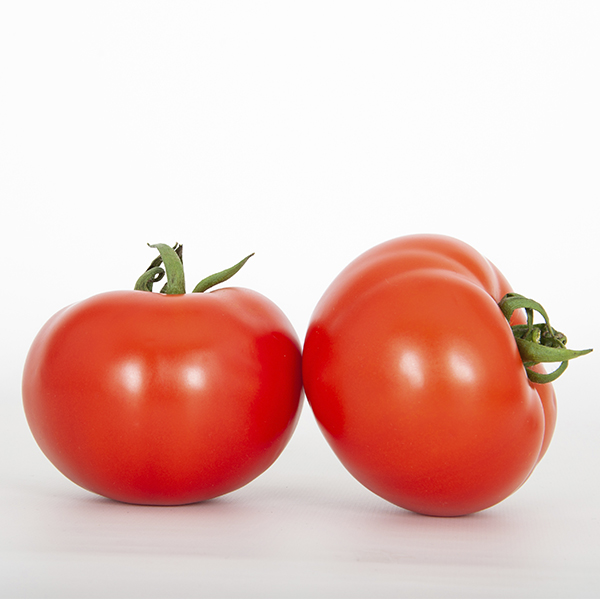 MAZINGER Tomate SEMINIS