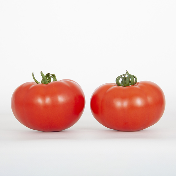 MAZINGER Tomate SEMINIS