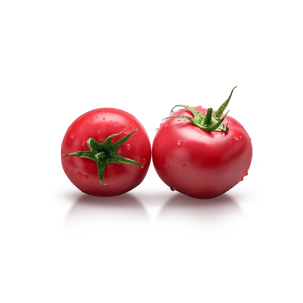 Anjum طماطم SEMINIS