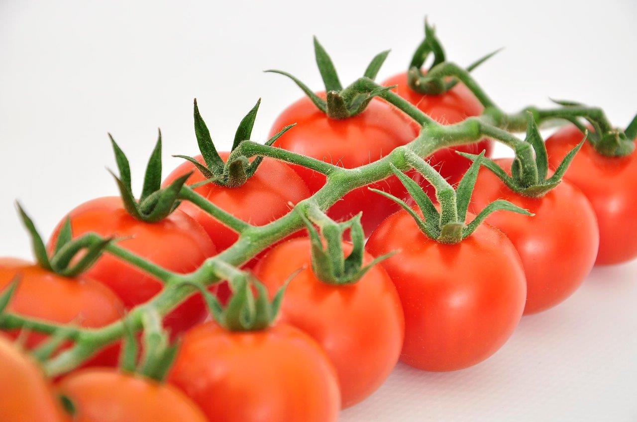 [hybridLabel] [cropLabel] [brand]