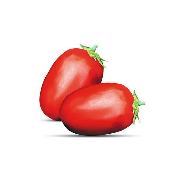 SM-16 Tomate SEMINIS