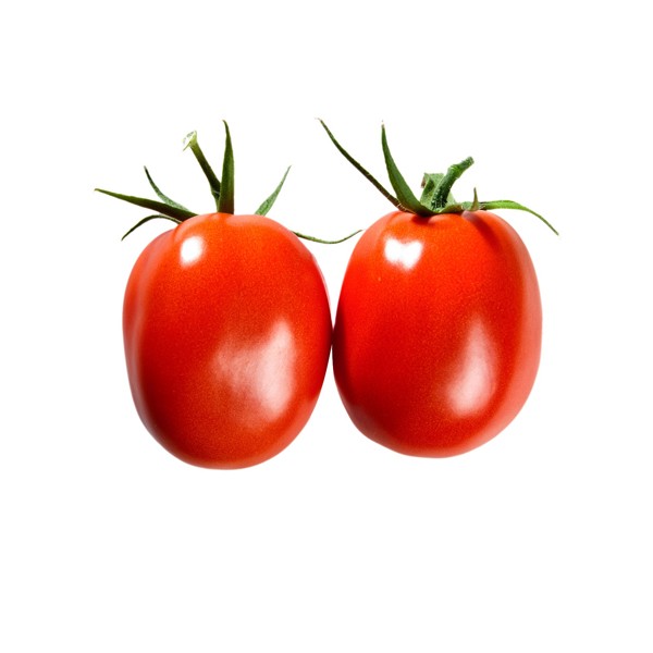 DRD 8564 Tomate SEMINIS