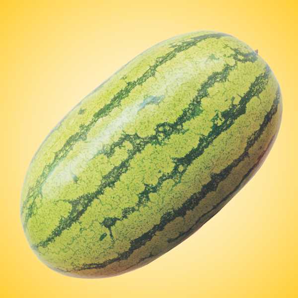 ANJISH Watermelon SEMINIS