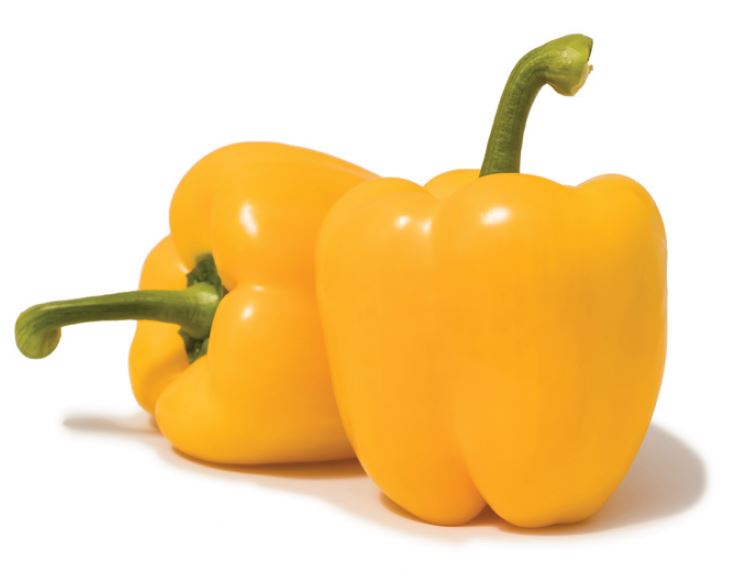 BERKELEY Pepper DERUITER