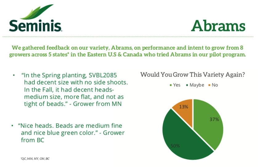 ABRAMS Broccoli SEMINIS