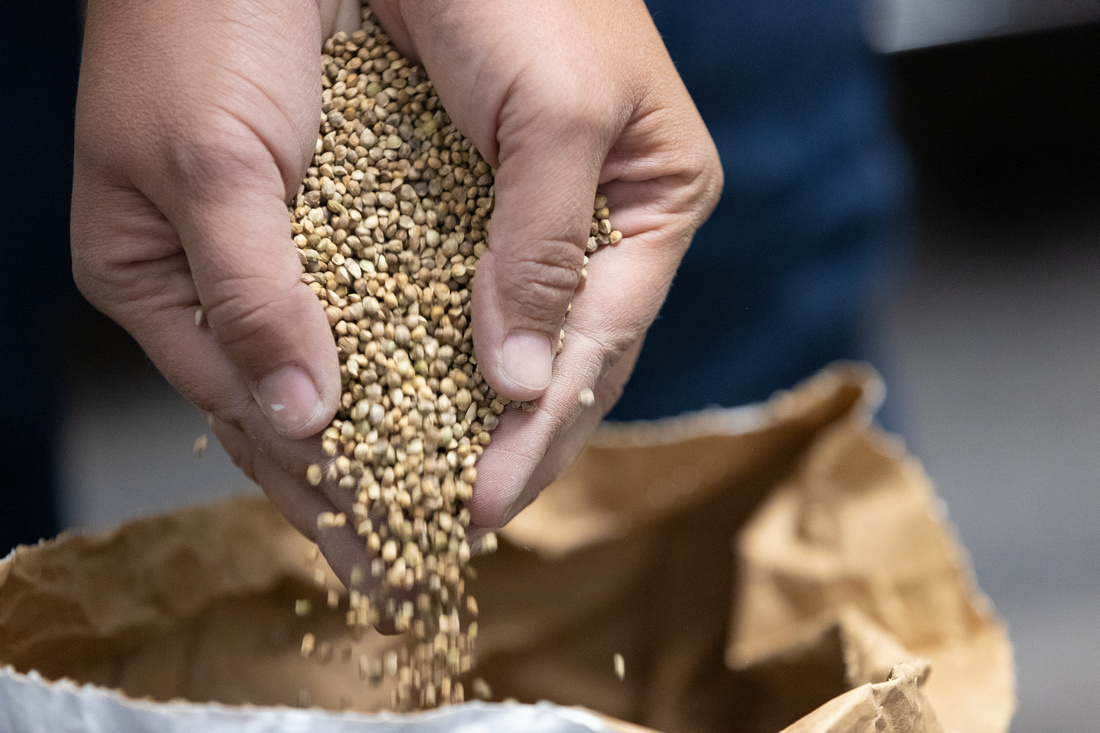 Neonics Vegetable Seed Treatment Information