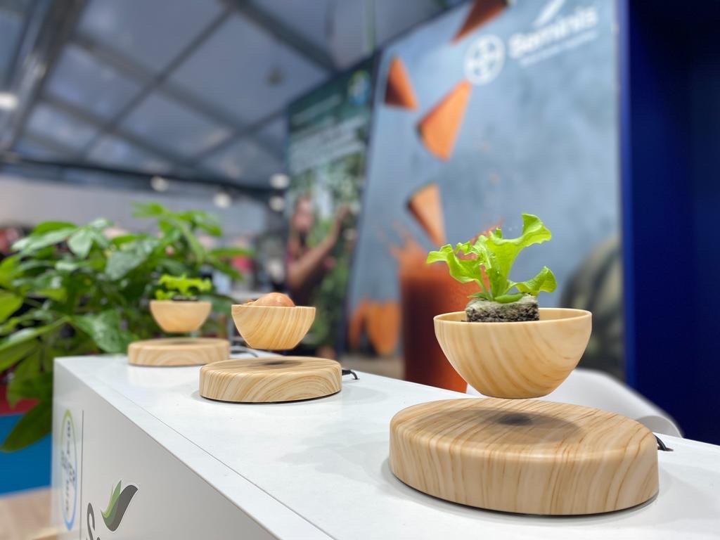 Bayer Cropscience au Sival : le point sur l’offre semences et ...