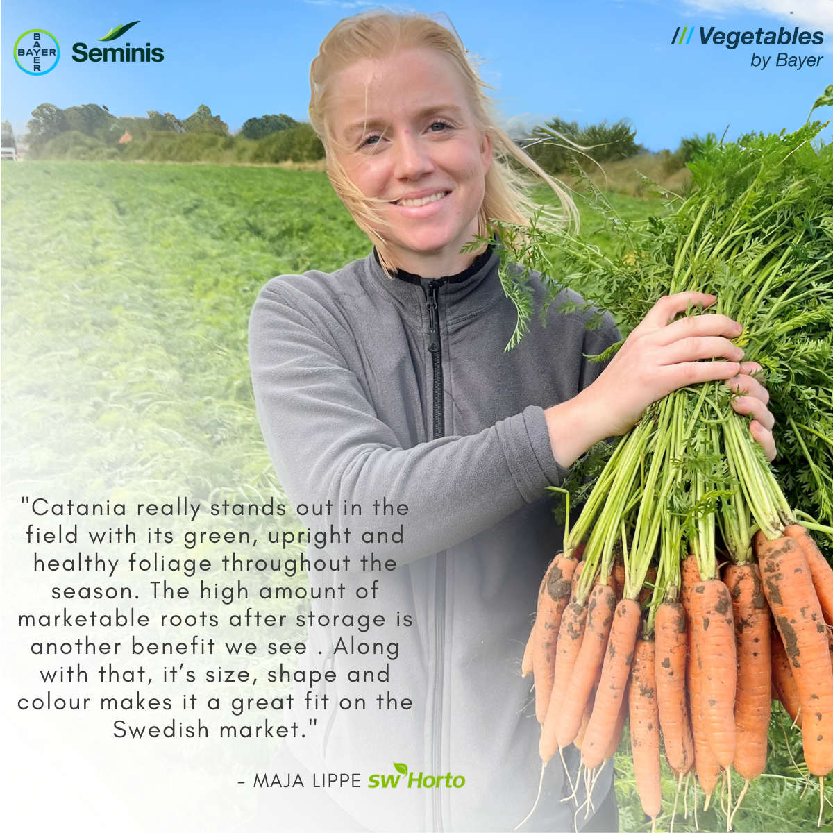 Cultivating Success: Unveiling Our New Carrot Variety tailored for our Growers