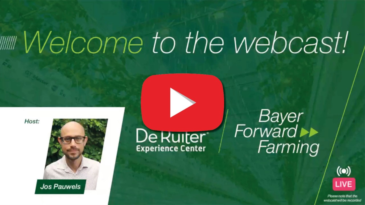 De Ruiter, Bayer ForwardFarming and BraZander Nursery Announce Joint ...