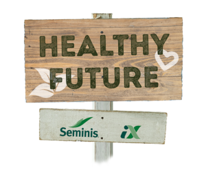 Seminis IX Field days 2020