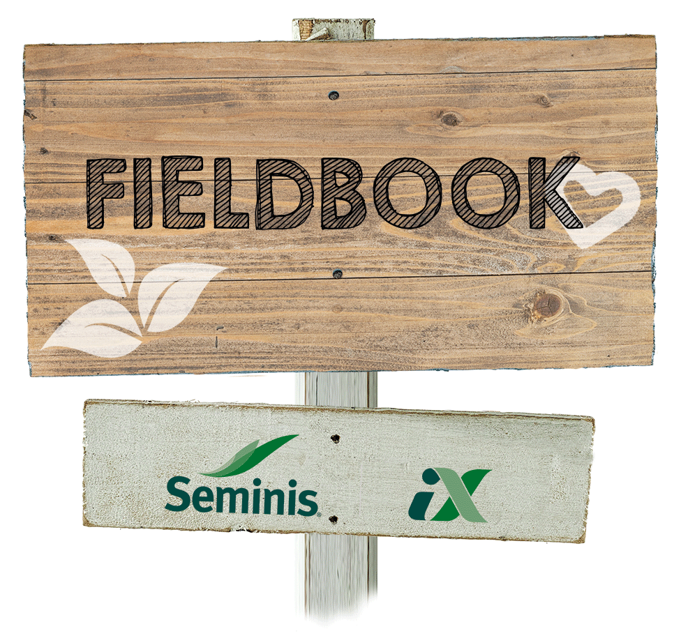 Seminis IX Field days 2020