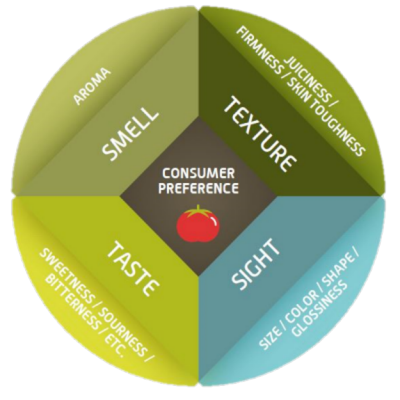 The Future of Taste is Here