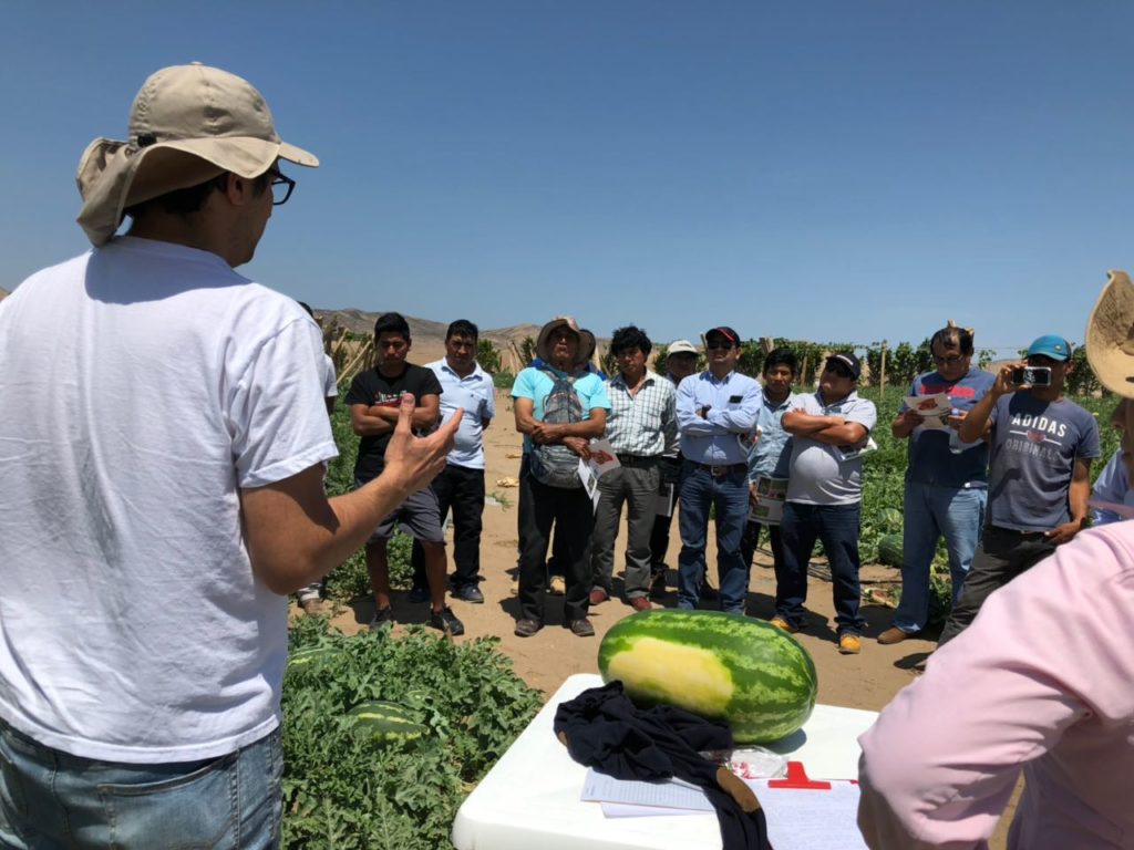 Gran Día de Campo Sandia Santa Matilde