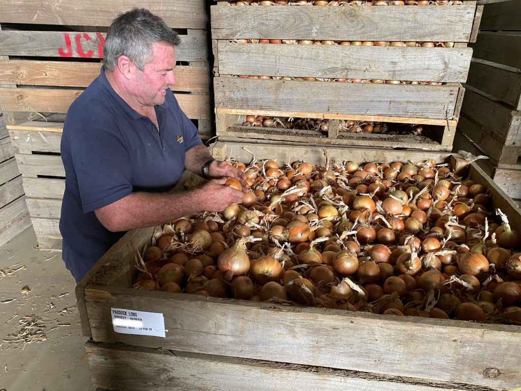 Harrier takes off with Pukekawa grower, Chris Nicholson