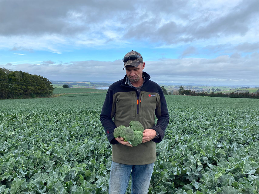 Titanium stands tall for broccoli grower Peter Aarts