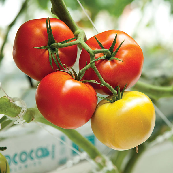 Początek sezonu i co dalej...