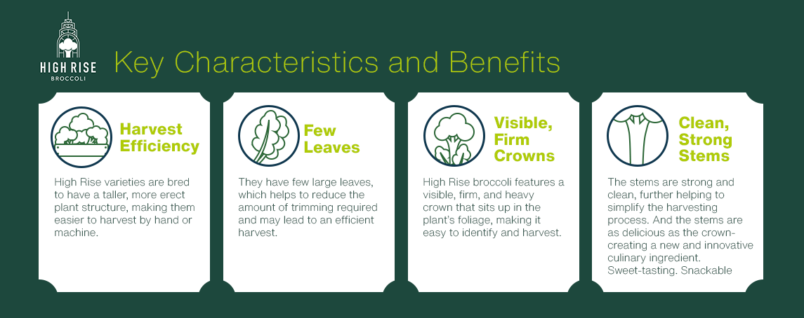 broccoli stem benefits
