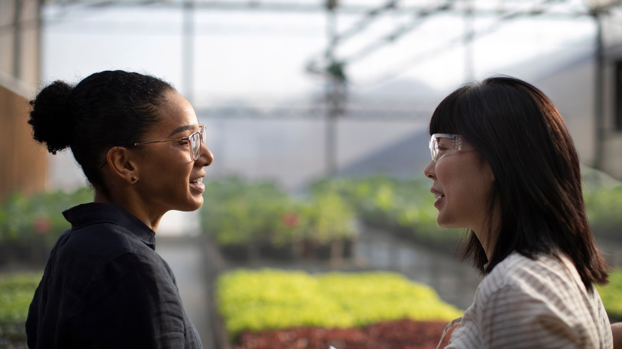 About | Innovative vegetable seed selections | Vegetables by Bayer