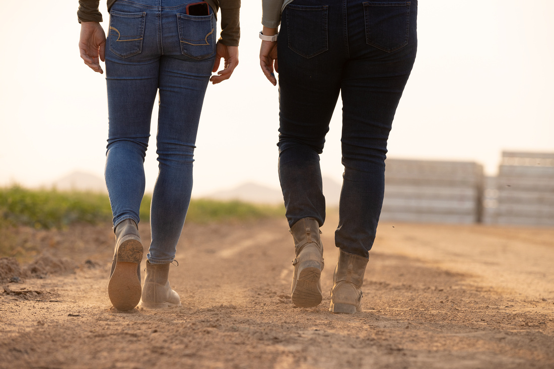 Seminis | High quality vegetable seed varieties | Vegetables by Bayer