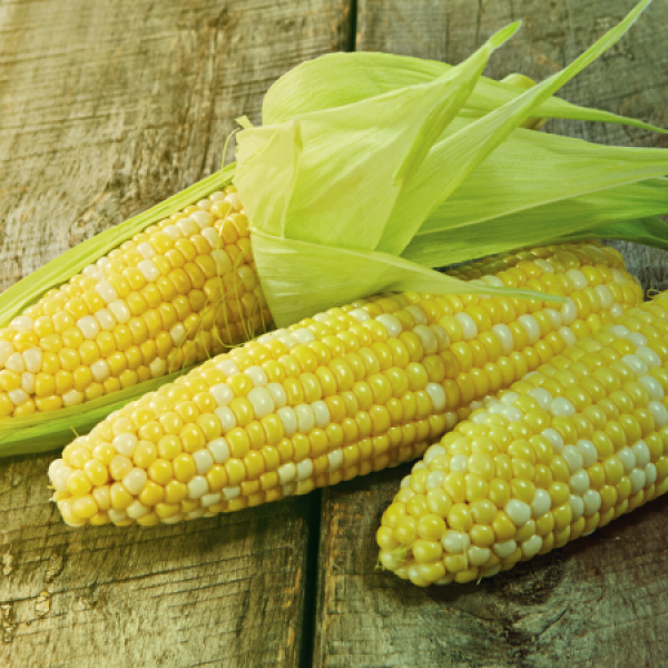 Sweet Corn