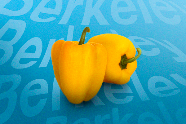 Blocky Pepper Portfolio
