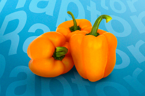 Blocky Pepper Portfolio