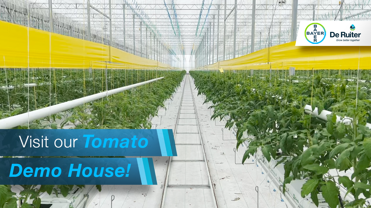 Visit our new Demo House!