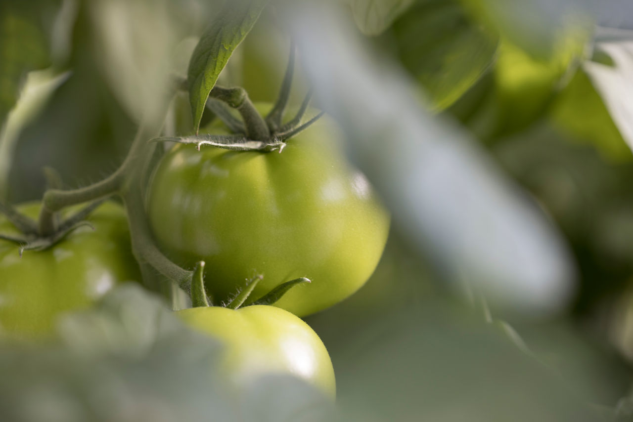 Visit our new Demo House!