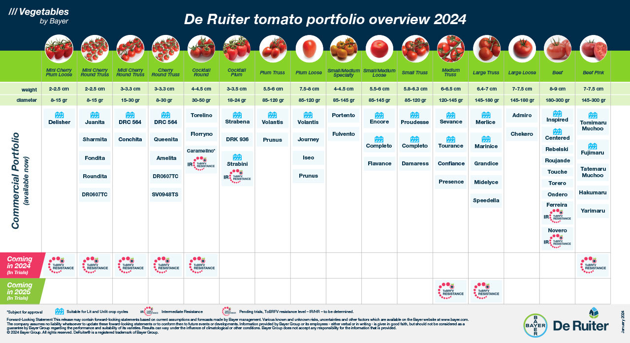 ToBRFV resistant tomato portfolio